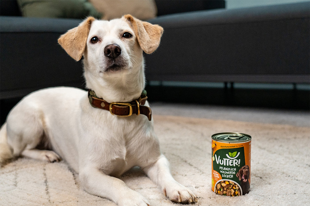 Vutter | 100% vegan, 100% bedarfsdeckend